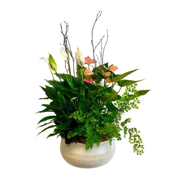 Avery – the cutting garden