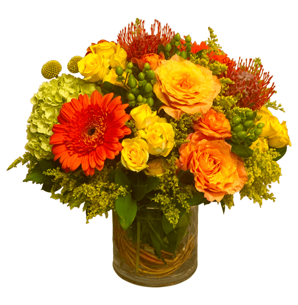 Audrey – the cutting garden