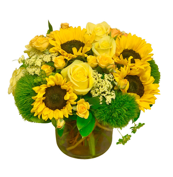 Hailey – the cutting garden